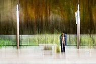 Fan LI, Photographic Artist